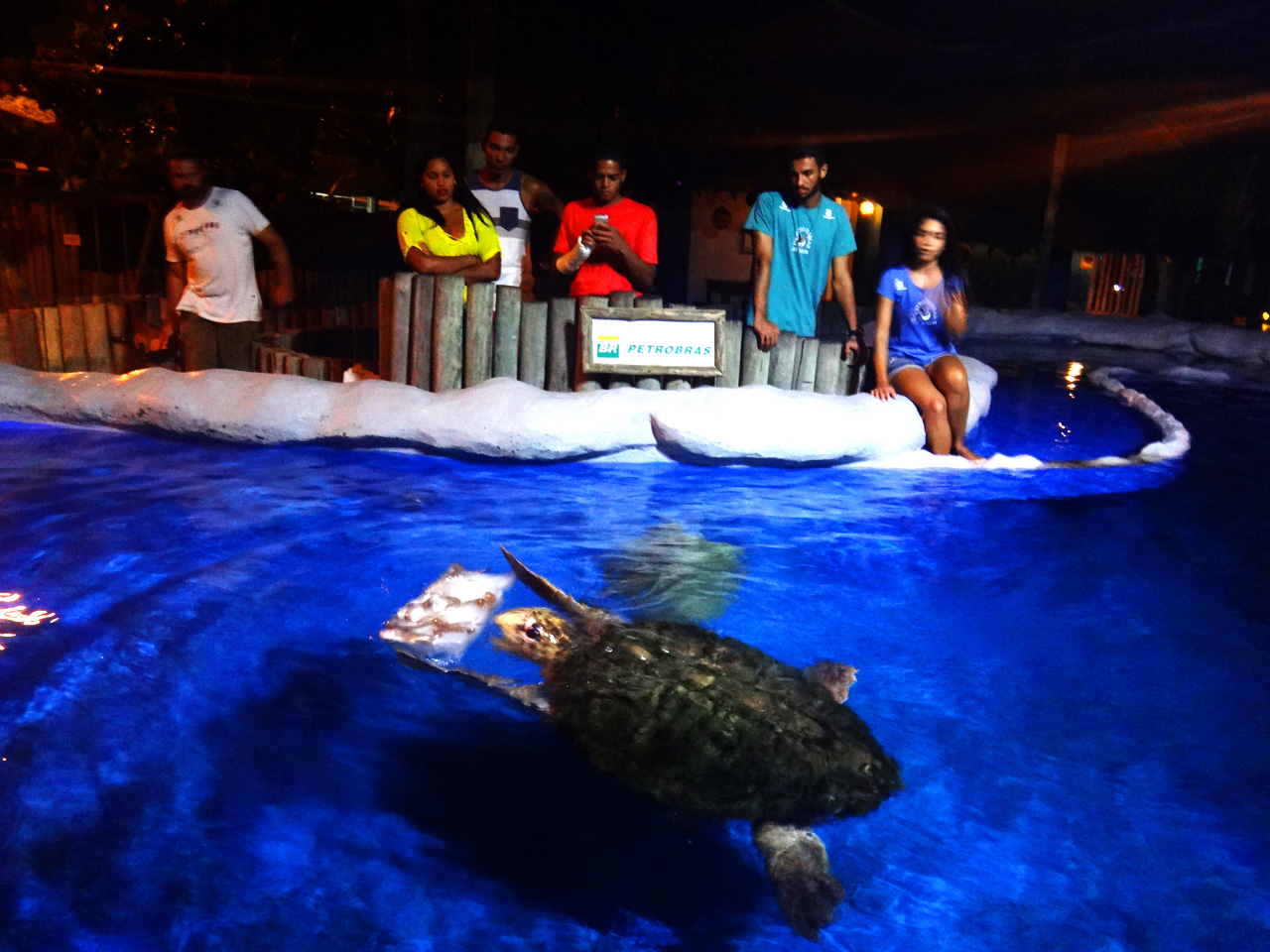 Oceanário de Aracaju - SE - Projeto Tamar! Experiências mil!